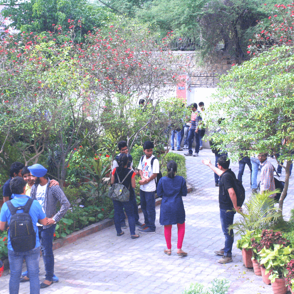 Home - LLDIMS Delhi